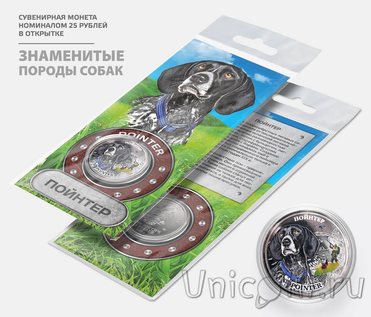 Сувенирная монета - Россия 25 рублей - породы собак - Пойнтер. Интернет ...